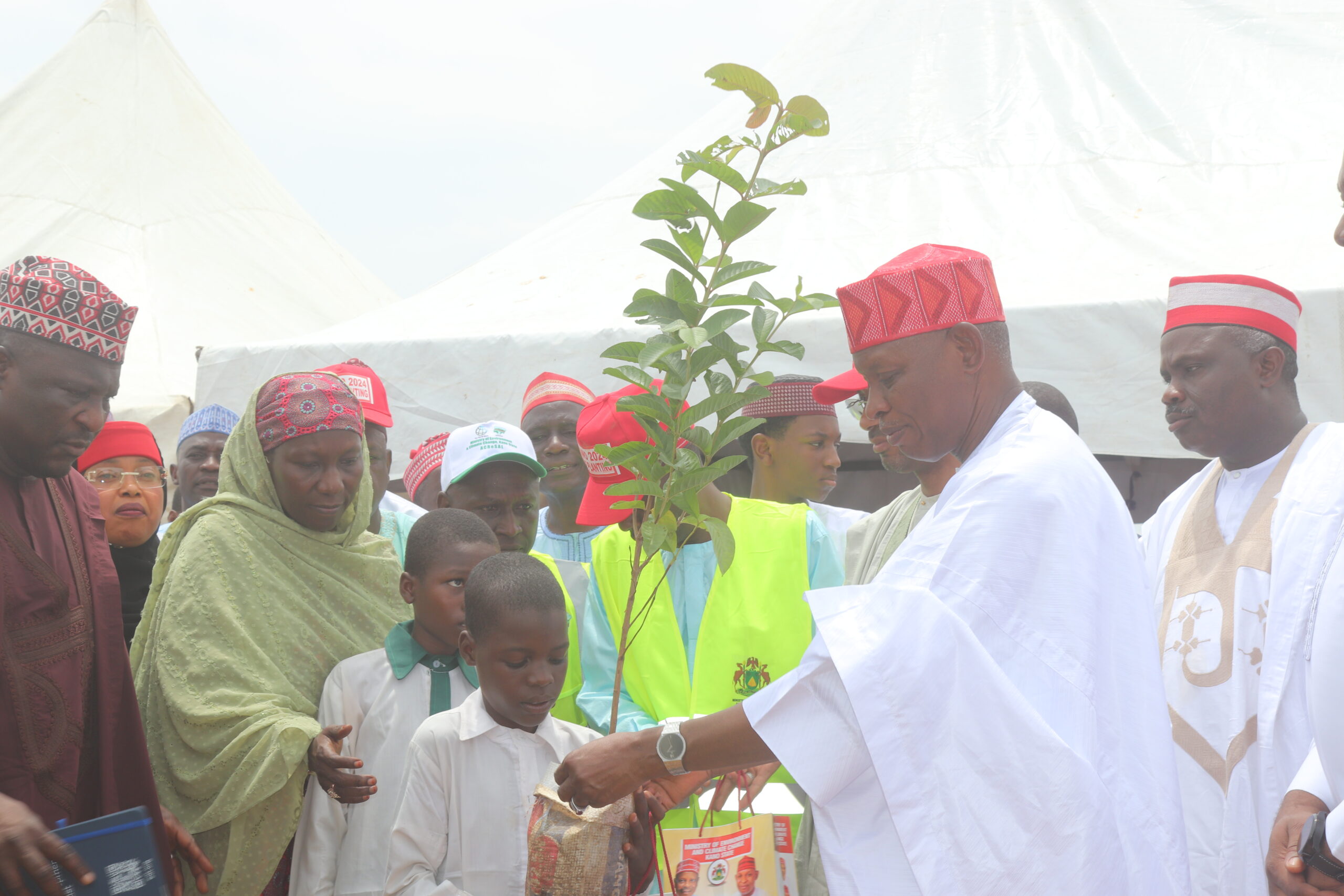 Kano State Governor Launches Tree Planting Campaign, Distributes ...